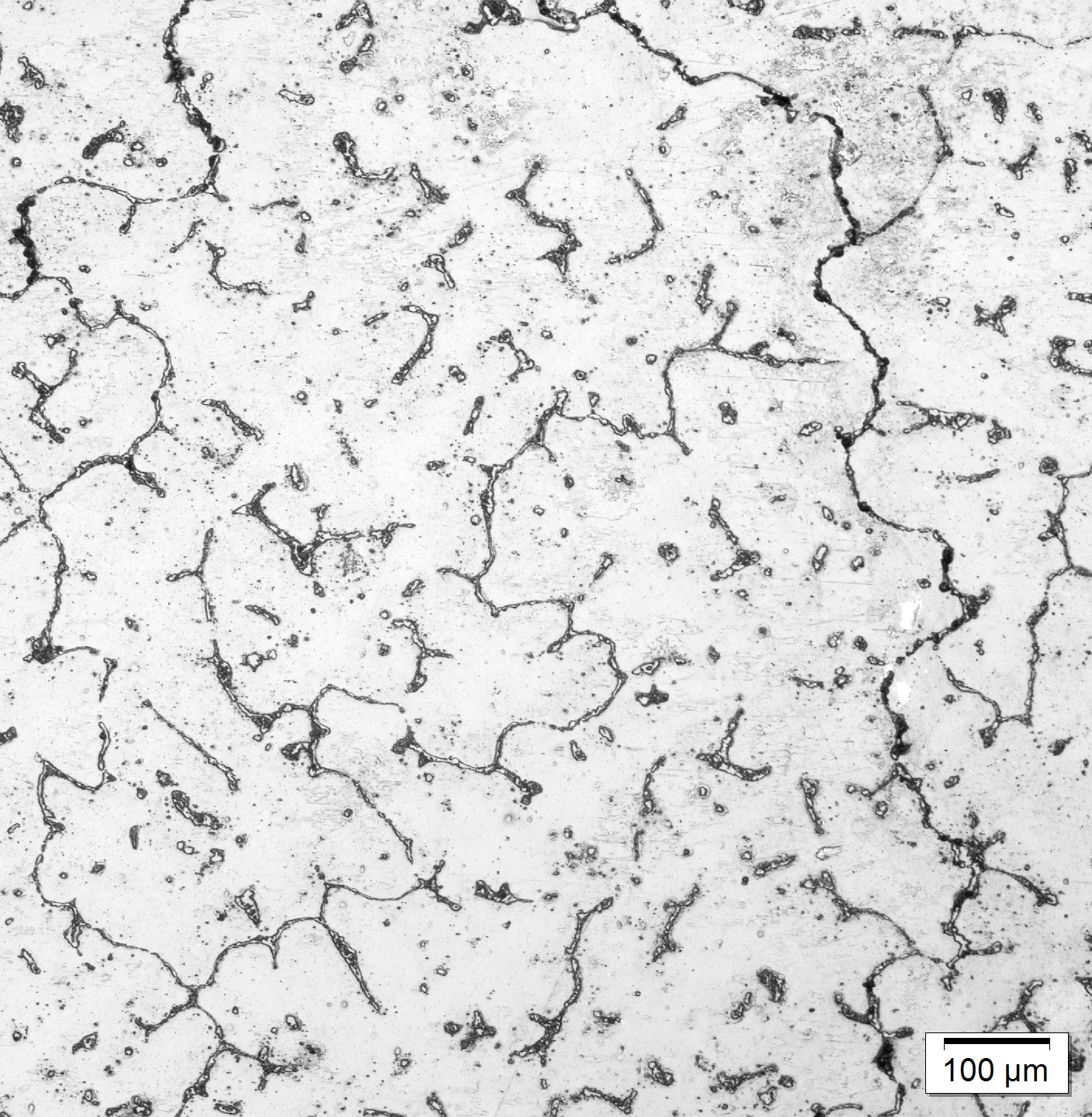 現場金相取樣分析(Replica Testing) – 凱德威有限公司